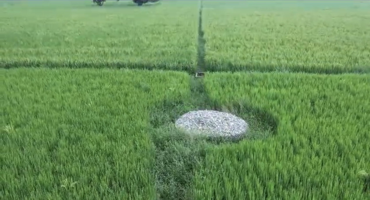 Innovative Rain Water Harvesting in Flood-Prone Areas - Silveron